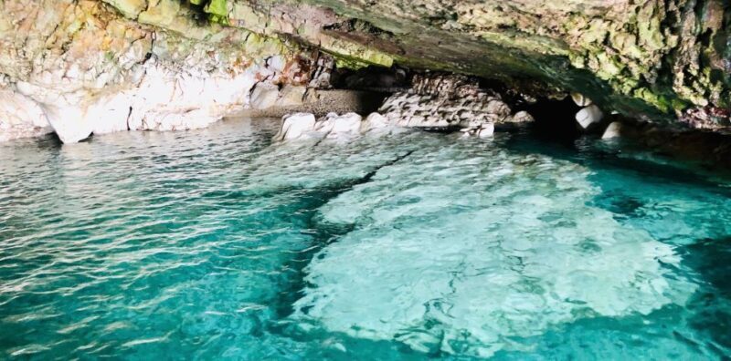 Polignano a Mare: Boat Trip, Swim & Cave with Aperitif - Who Will Love This Experience?