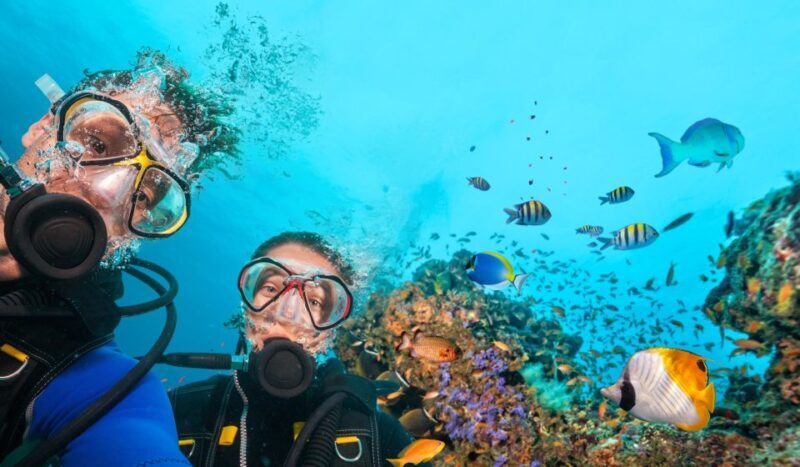Polignano a Mare: Scuba Experience with certification - An in-depth look at the scuba experience in Polignano a Mare