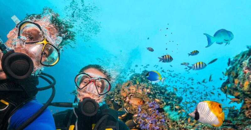 Polignano a Mare: Scuba Experience with certification - Final thoughts