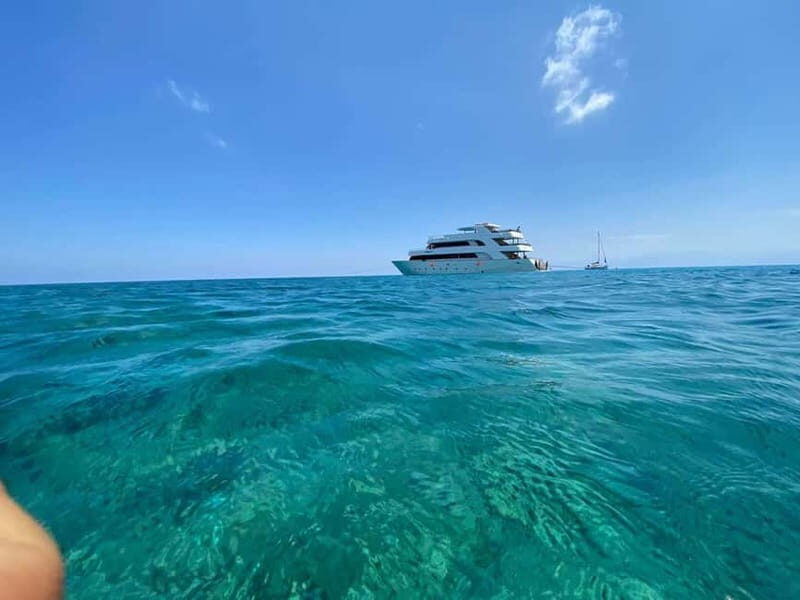 Polis: Blue Lagoon Boat Tour with bus from Paphos - Analyzing the Price and Overall Value