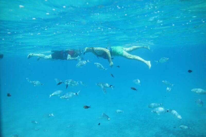 Pollença: Kayak and Coasteering Cliff Jumping - Who Will Love This Tour?
