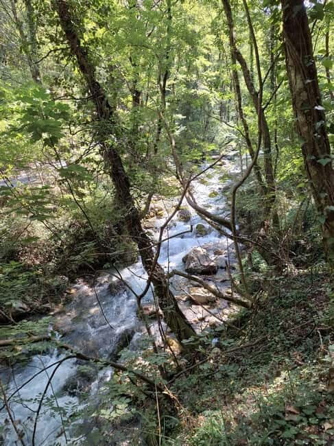 Pollino National Park: Trekking in the Argentino Nature Reserve - Exploring the Argentino River Valley: A Natural Masterpiece