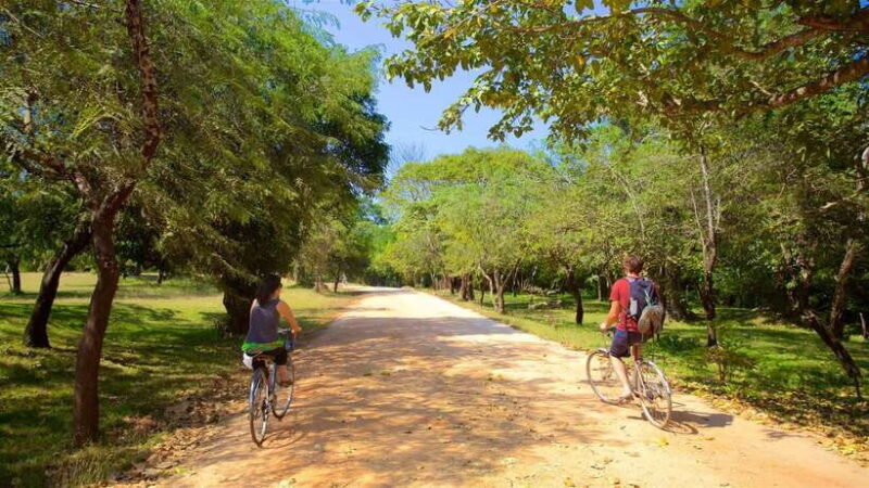 Polonnaruwa: All Inclusive Ancient City Guided Cycling Tour - Analyzing the Value