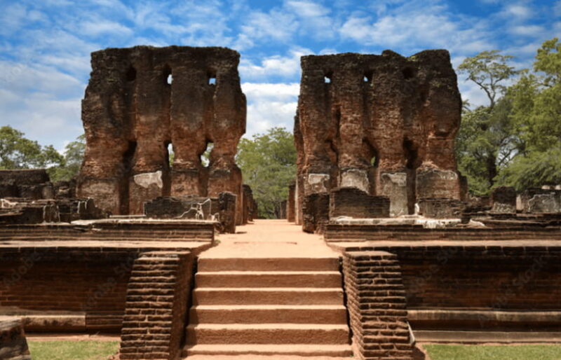 Polonnaruwa Ancient City and Wildlife Safari from Dambulla - Why This Tour Offers Real Value