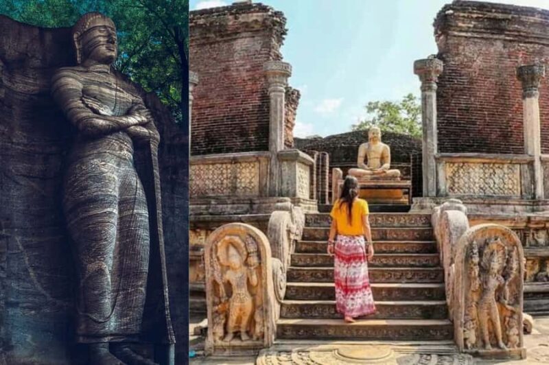 Polonnaruwa Cycling: Paddy-Field Lunch with Eco Park Safari - Key Points