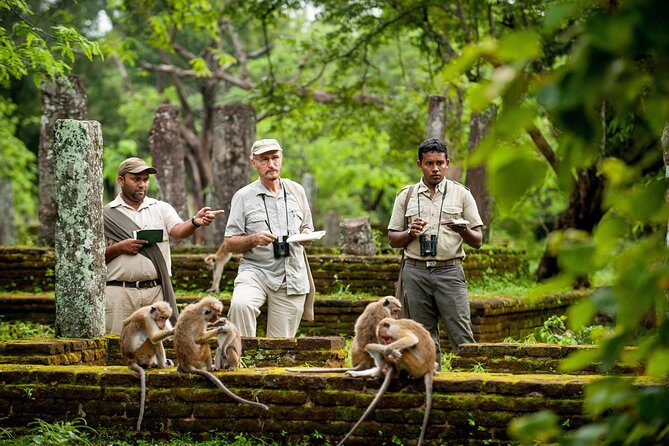 Polonnaruwa Day Tour From Kandy - FAQ