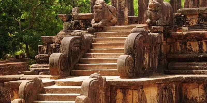 Polonnaruwa Day Tour With Minneriya NP Elephant Safari - The Sum Up: Who Should Consider This Tour?