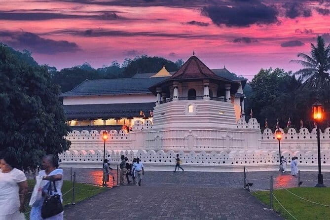 Polonnaruwe Ancient City Cycling Day Tour from Kandy - Final Thoughts