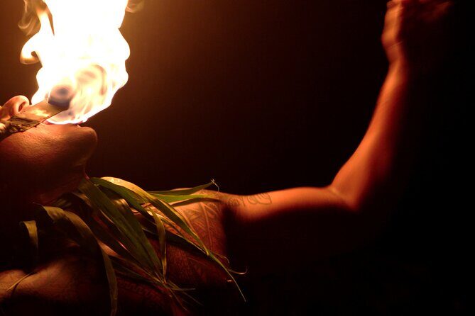 Polynesian Show and Dining experience with Transfer - Who Will Love This Tour?