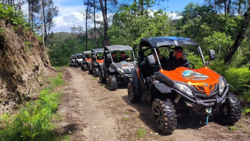 Pombal- Sicó: 60 minutes OFF-ROAD Buggy Ride - Key Points