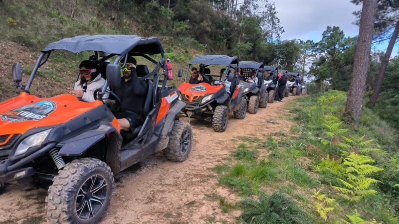 Pombal- Sicó: 60 minutes OFF-ROAD Buggy Ride - An Exciting Taste of Portugals Nature