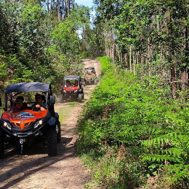 Pombal- Sicó: 60 minutes OFF-ROAD Buggy Ride - Insights From Genuine Travelers