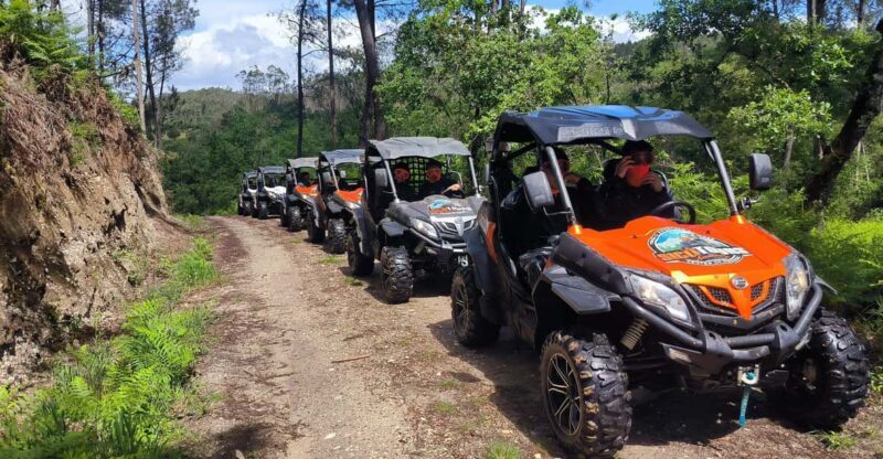 Pombal- Sicó: 60 minutes OFF-ROAD Buggy Ride - FAQ