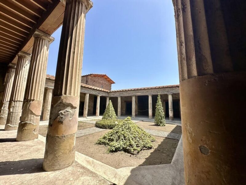 Pompei: the Latest Discoveries with your Archaeologist - Key Points