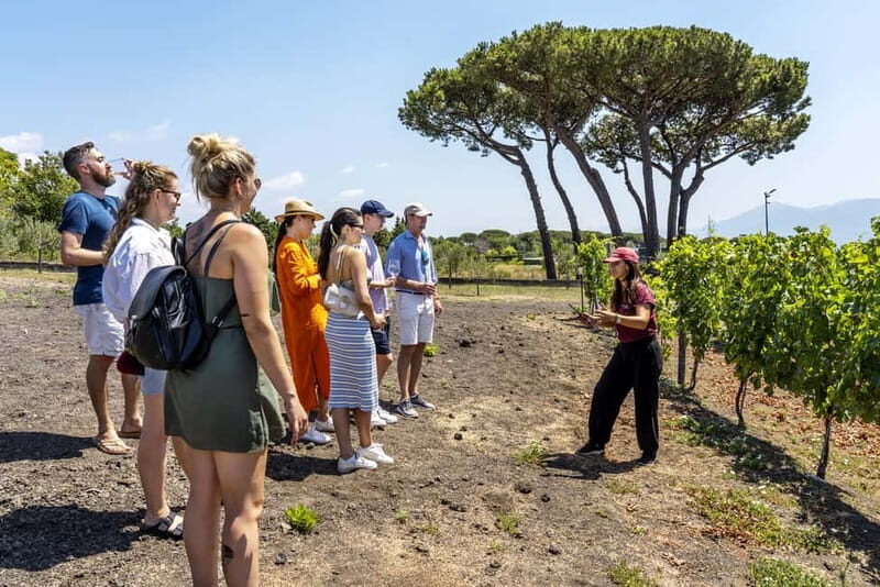 Pompei: Vesuvius Vineyards Tour with Wine Tasting and Lunch - Key Points