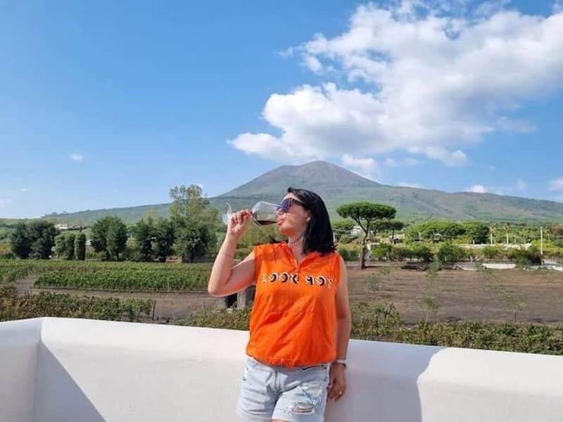 Pompei: Vesuvius Vineyards Tour with Wine Tasting and Lunch - Introduction: A Delicate Balance of Land and Flavor