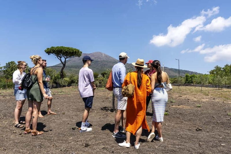 Pompei: Vesuvius Vineyards Tour with Wine Tasting and Lunch - Who Will Love This Experience?