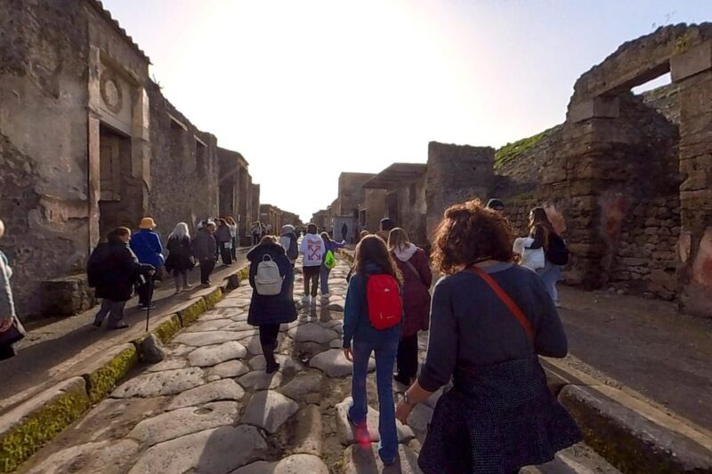 Pompeii: 2 Hours Skip the Line Visit with a Licensed Guide - Introduction: Who This Tour Is For