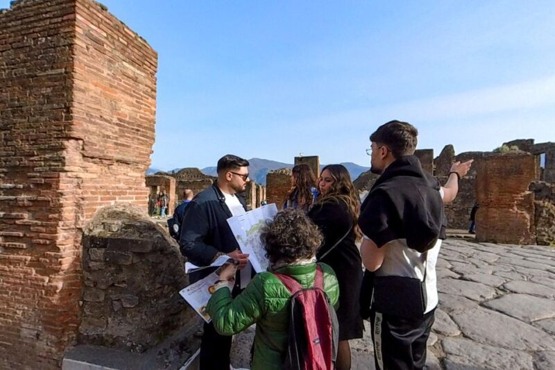Pompeii: 2 Hours Skip the Line Visit with a Licensed Guide - Who Should Consider This Tour?