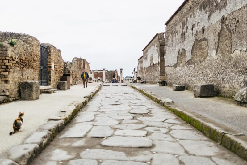 Pompeii: Afternoon to Sunset Guided Tour with Ticket - FAQ
