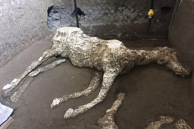 Pompeii and Amalfi Coast Day Trip from Naples - Who Will Love This Tour?