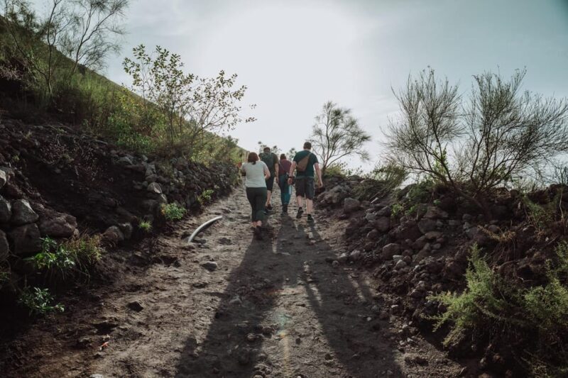 Pompeii and Mount Vesuvius excursion from Naples - Why Choose This Tour? A Deep Dive