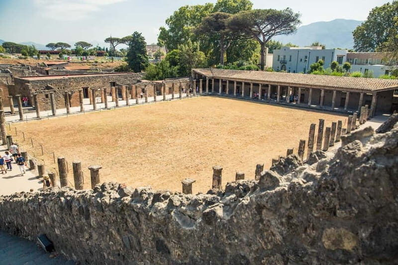 Pompeii and Mt. Vesuvius Private Tour from Naples - Key Points