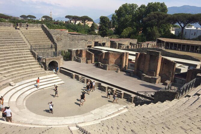 Pompeii and Sorrento Day Trip from Naples - Transportation & Group Experience