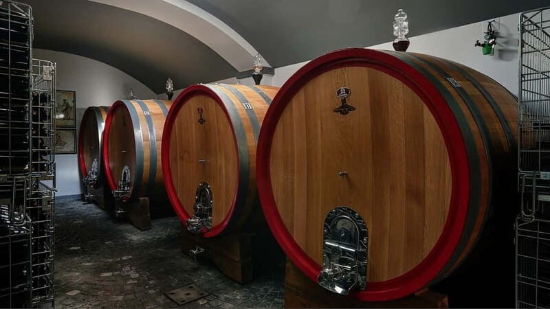 Pompeii and Vesuvius Winery Tour with Wine Tasting - Introduction