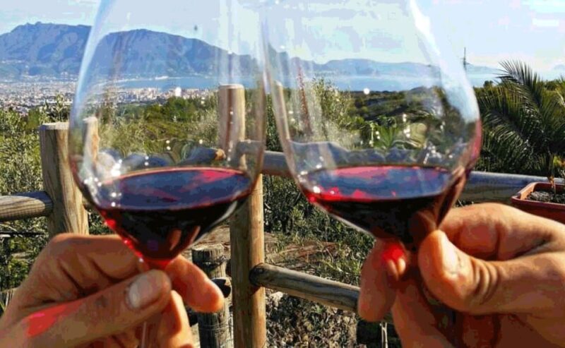 Pompeii and Wine Tasting Tour - Key Points