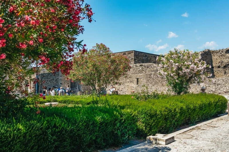 Pompeii: Archaeological Park Guided Tour - Why Choose This Tour?