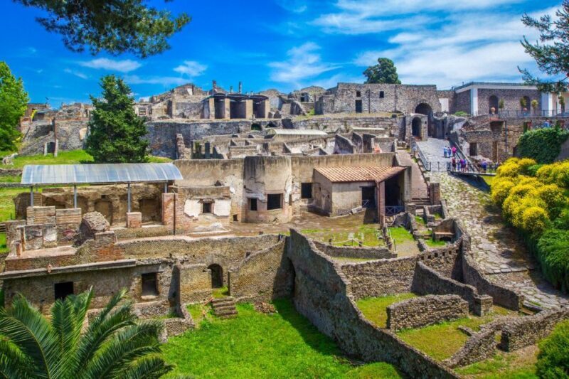Pompeii: Day Tour of Pompeii and Vesuvius with Bus Transfer - Who Will Love This Tour?