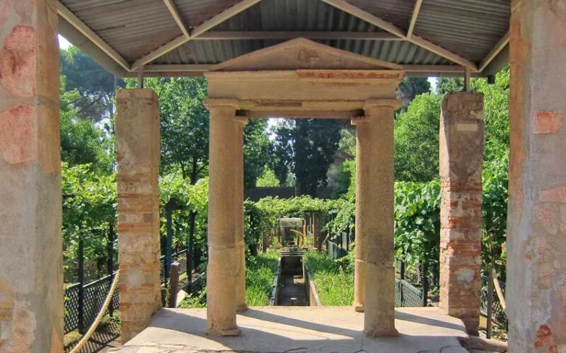 Pompeii Day Tour with Skip-the-Line Access - An In-Depth Look at the Pompeii Experience