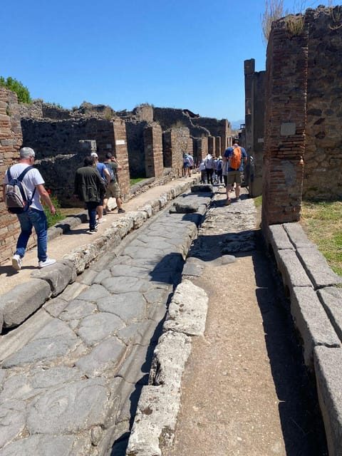 Pompeii from Napoli: transfer + entry ticket + guided tour - Introduction to the Pompeii Tour Experience