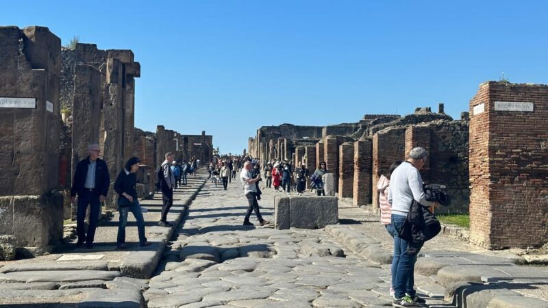 Pompeii Guided Tour with Skip the Line Entry - Access & Convenience