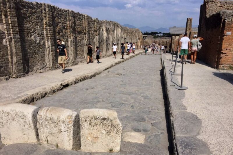 Pompeii: Guided Walking Tour with Entrance Ticket - The Practical Side: Logistics and Value