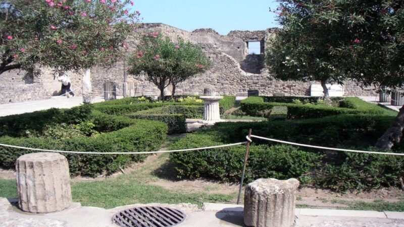 Pompeii Half-Day Coach Tour from Sorrento - Highlights of Pompeii You Wont Want to Miss