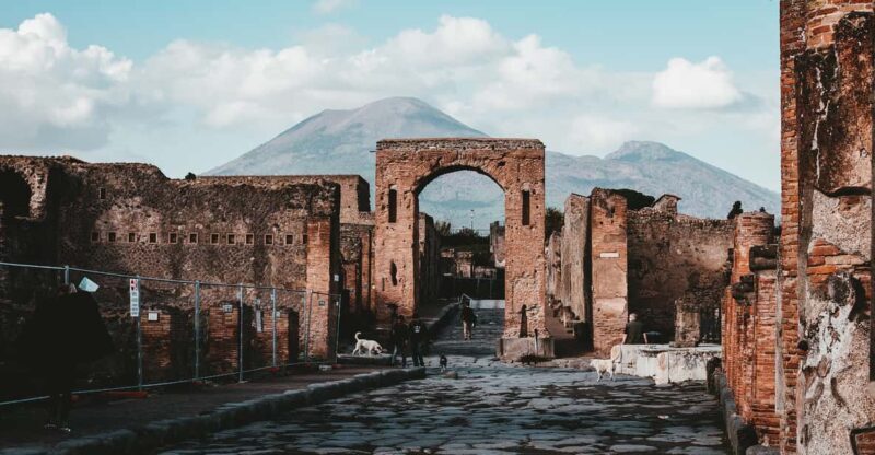 Pompeii & Herculaneum Group Tour with tickets - What to Expect from the Pompeii & Herculaneum Tour