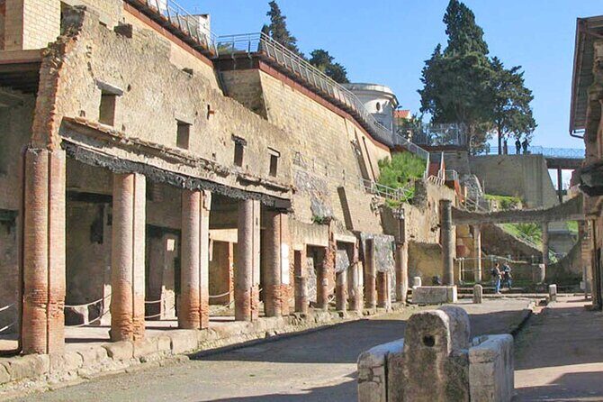 Pompeii & Herculaneum Private Tour: Fast-Track, Winery & Lunch - Key Points