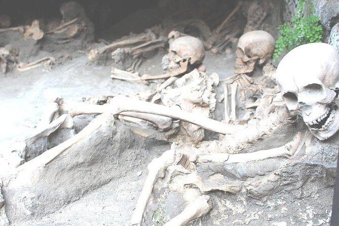 Pompeii & Herculaneum Trip from Rome with Hotel Pick Up & Skip-the-Line Tickets - Who Might Want to Consider Other Options?