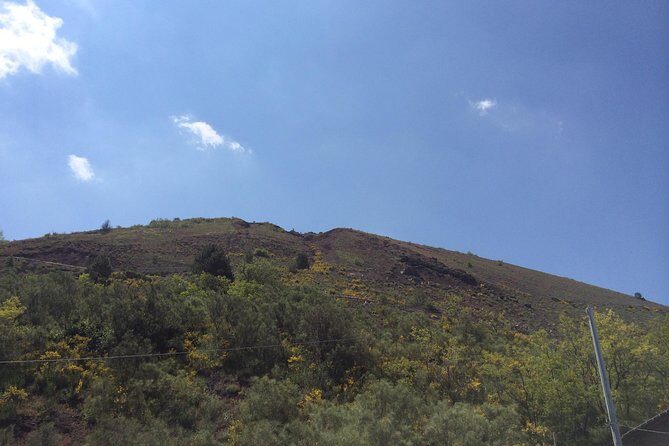 Pompeii-Herculaneum-Vesuvius tour from Sorrento with licensed guide included - A Deep Dive into the Experience
