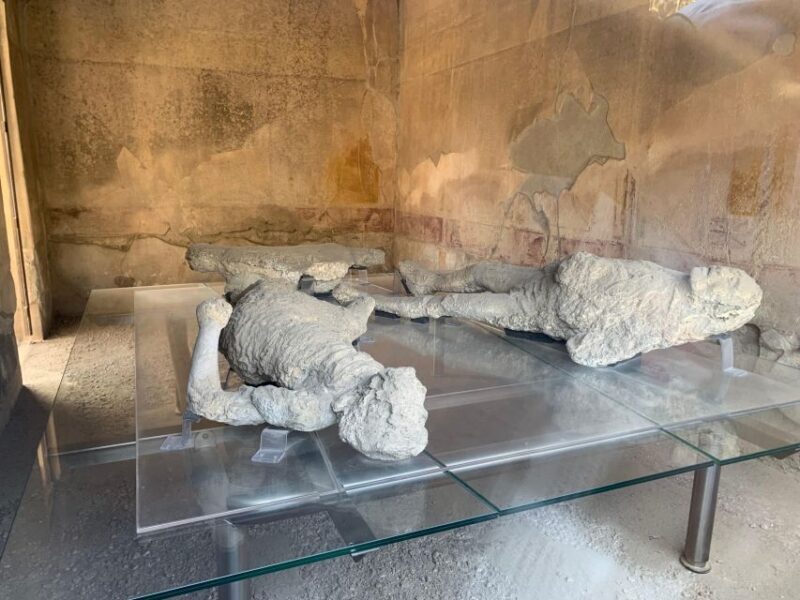 Pompeii in 2h and 30mnt: walk with local guide - What Reviewers Are Saying