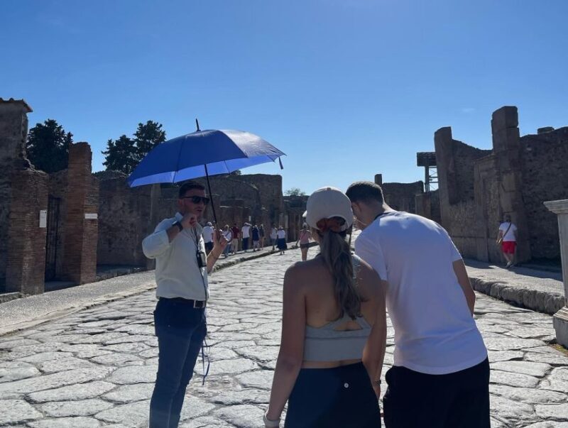 Pompeii in 2h and 30mnt: walk with local guide - Additional Practical Details