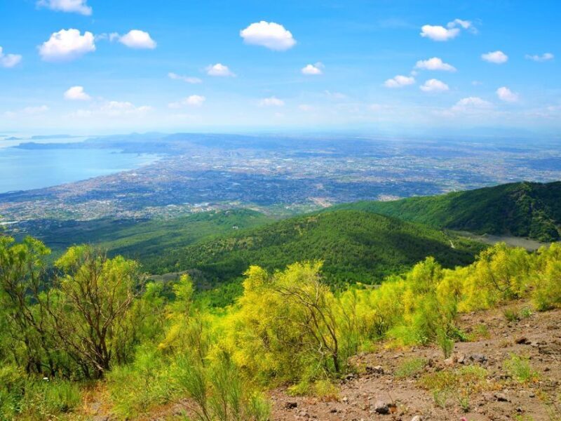 Pompeii: Mount Vesuvius Park Entry Ticket and Transfer - Frequently Asked Questions
