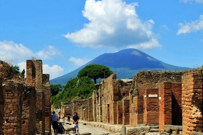 Pompeii, Mt Vesuvius and Wine Tour - What to Expect From the Experience