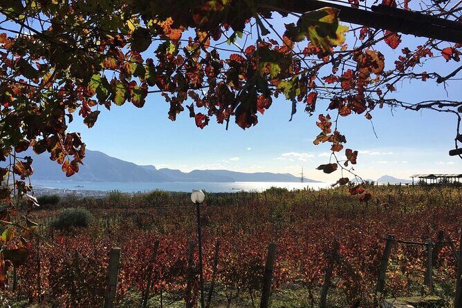 Pompeii, Mt Vesuvius and Wine Tour - Authentic Experiences That Shine