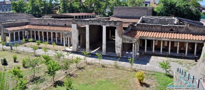 Pompeii: Oplontis Small Group Tour with an Archaeologist - The Practicalities: Pricing, Group Size, and Accessibility