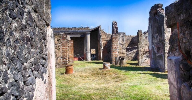 Pompeii: Private and Personalized Tour with archeologist - Discover Pompeii with a Private Archeologist Tour