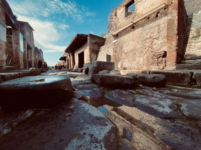 Pompeii Private Guided Tour - Why This Tour Is Ideal for Certain Travelers