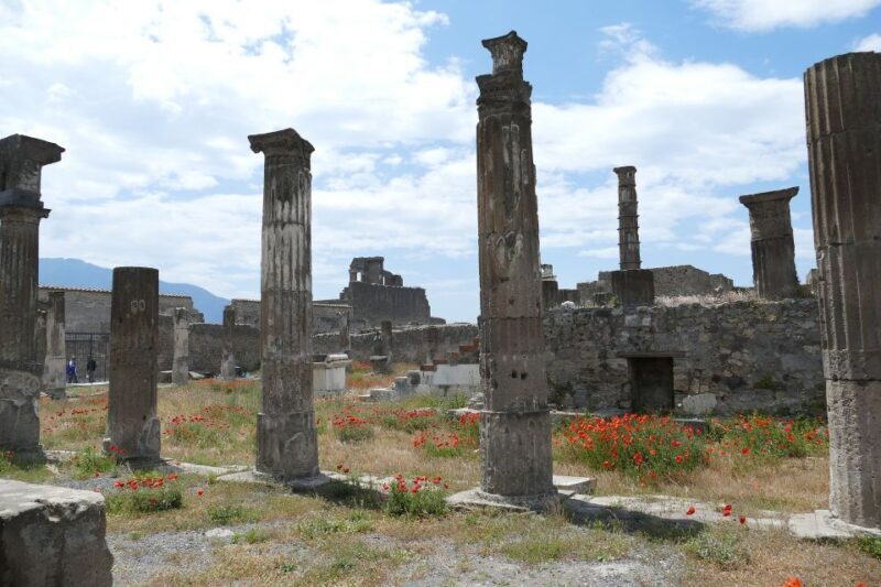 Pompeii Private Guided Tour with Lunch - Lunch in a Lemon Grove: An Oasis of Calm